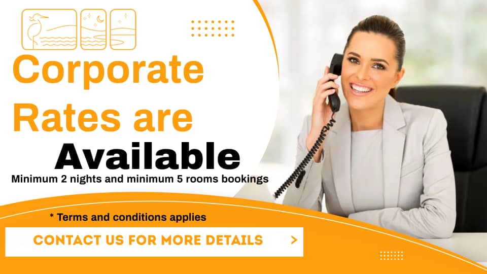 Promotion | The Bus Collective